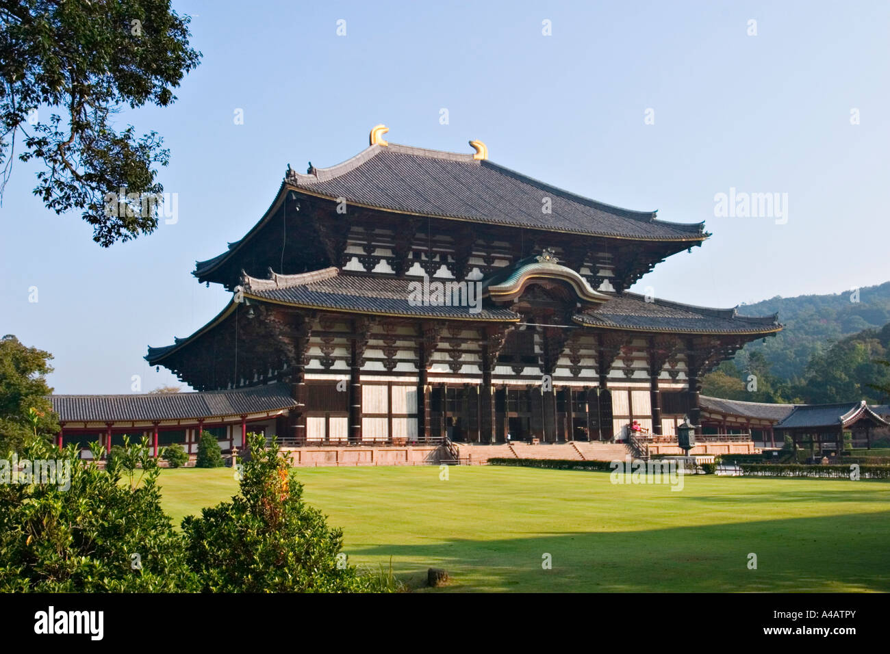 Todaiji daibutsu den temple hi-res stock photography and images - Alamy