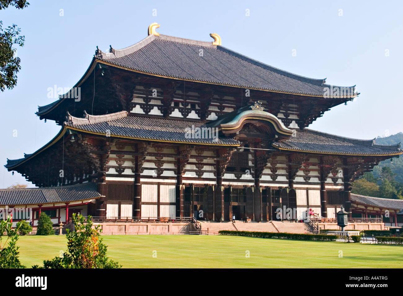 Todaiji daibutsu den temple hi-res stock photography and images - Alamy