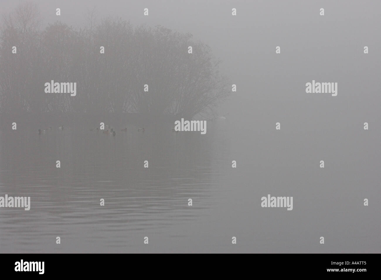Fog over water Stock Photo - Alamy