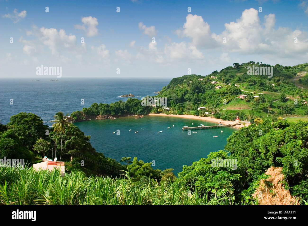 Parlatuvier Bay, Tobago, Trinidad and Tobago, Caribbean Stock Photo - Alamy