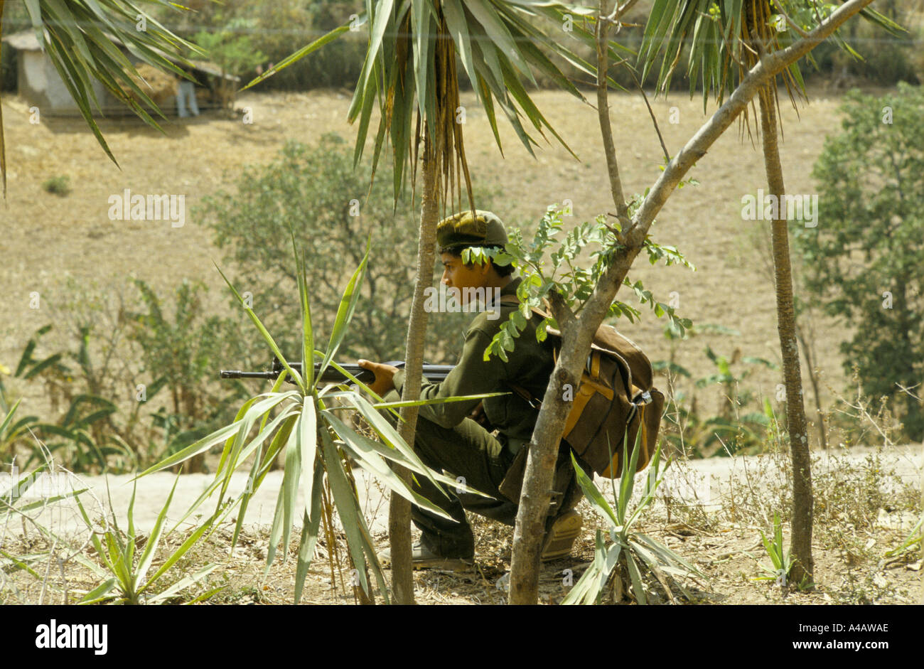 young militar with weapon on road ambush el salvador Stock Photo - Alamy