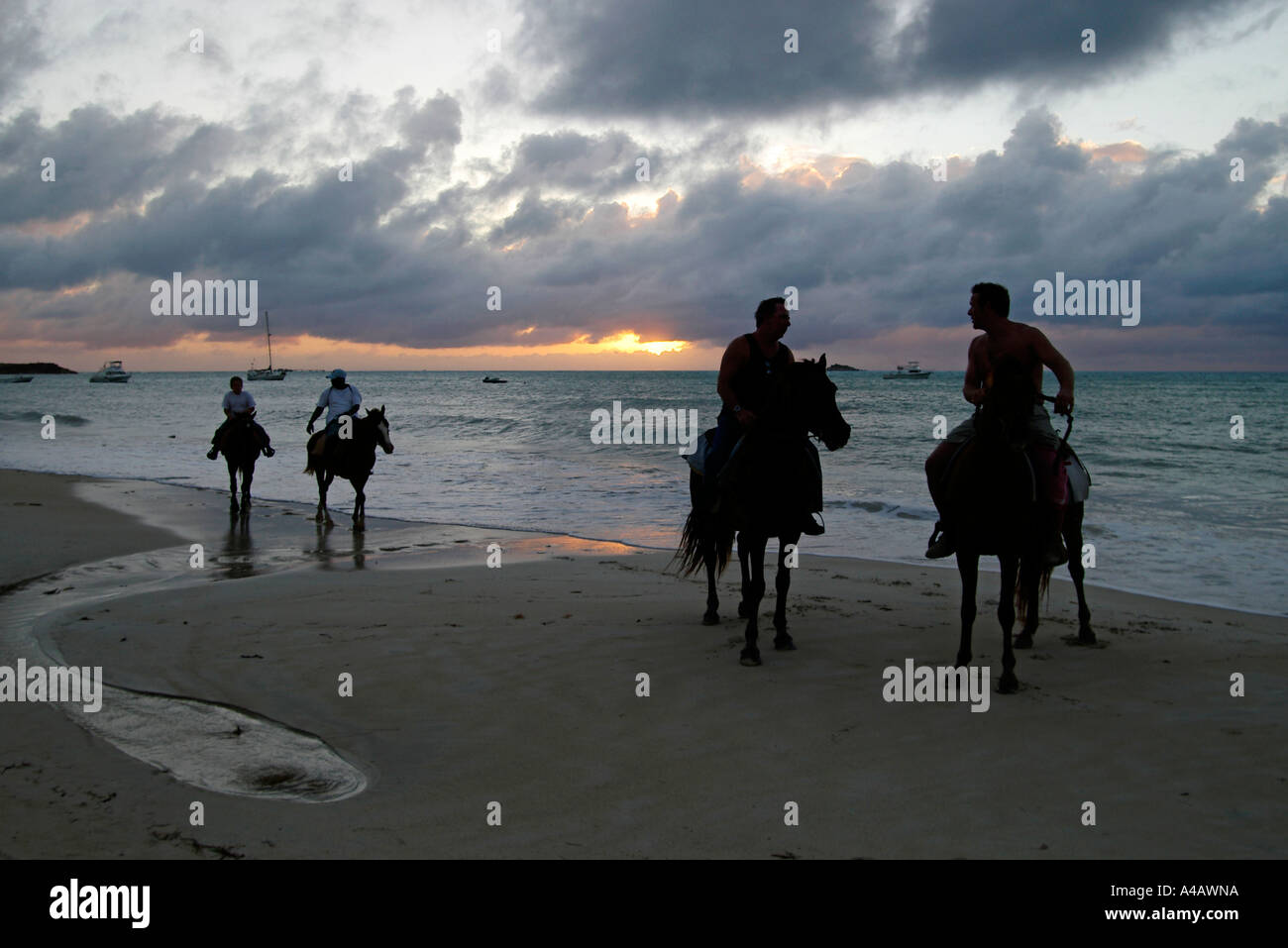 Horse Riding on the Beach Dickenson Bay Antigua Caribbean West Indies ...