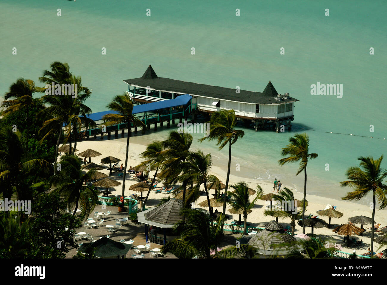 Rex halcyon cove hi-res stock photography and images - Alamy