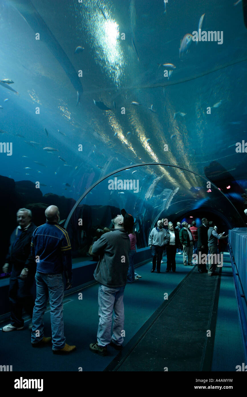 Aquarium Atlanta USA Stock Photo - Alamy