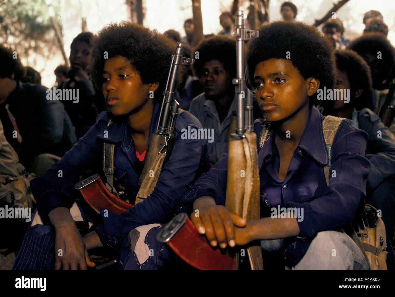Tplf hi-res stock photography and images - Alamy