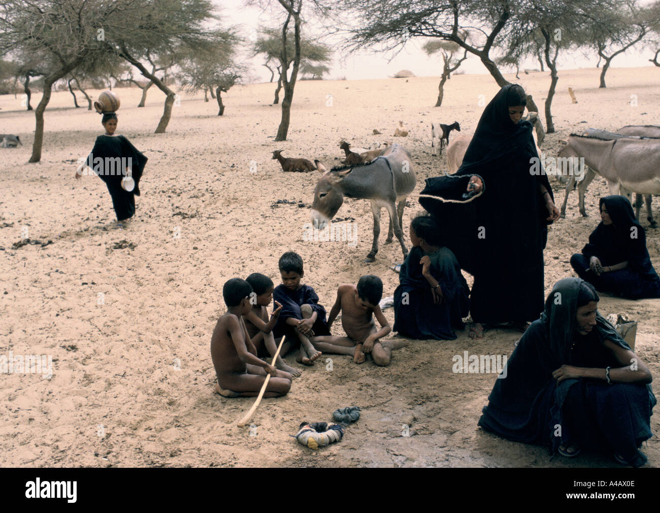 tuareg nomads in timbuctoo mali Stock Photo - Alamy