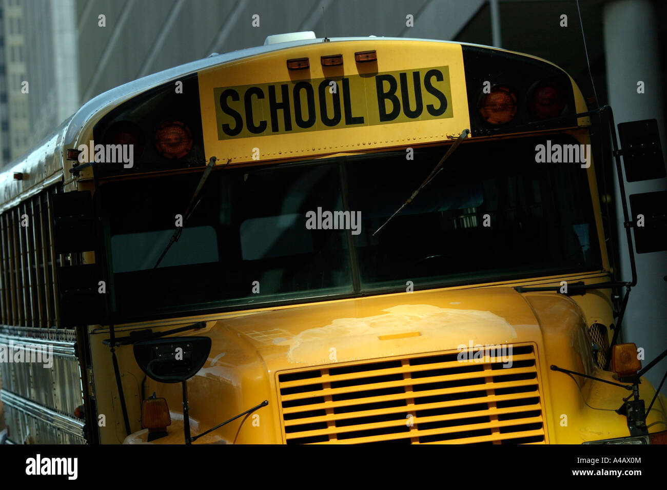 american school bus Stock Photo - Alamy