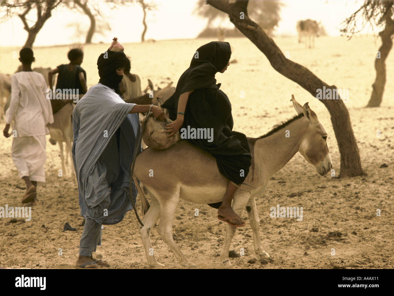 tuareg nomads in timbuctoo mali Stock Photo - Alamy
