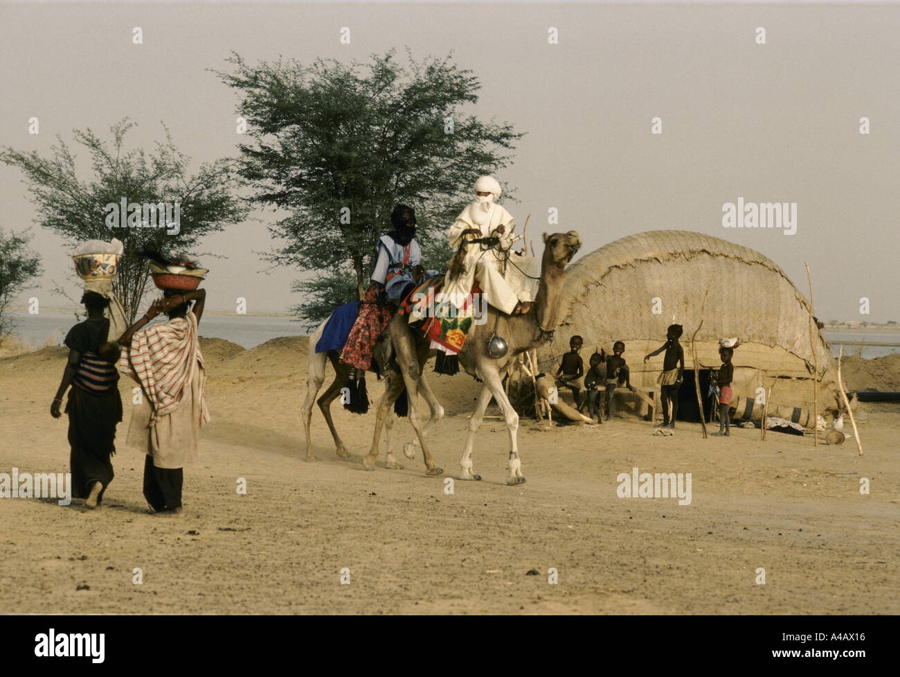tuareg nomads in timbuctoo mali Stock Photo - Alamy