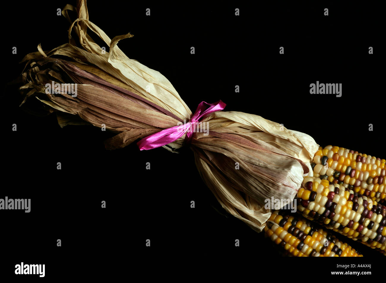 corn on the cob tied up with a pink ribbon vegetable Stock Photo - Alamy