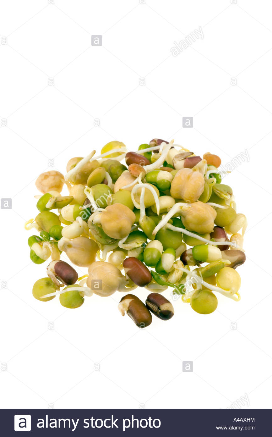 Bean Gram High Resolution Stock Photography and Images - Alamy