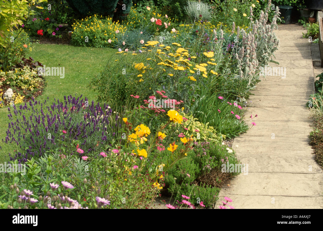 path alongside a garden border Stock Photo - Alamy