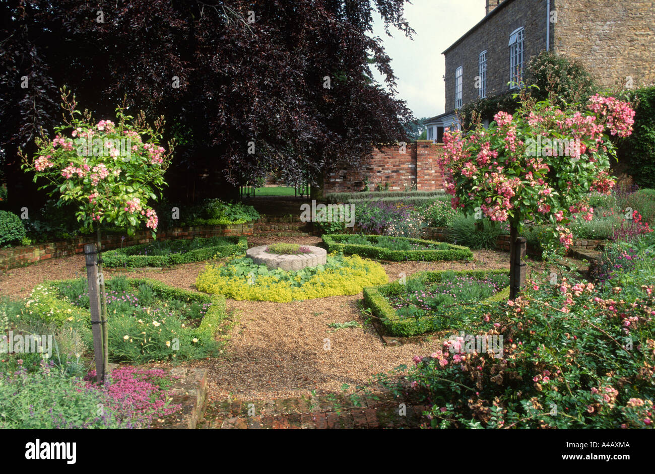 Plant under tree hi-res stock photography and images - Alamy