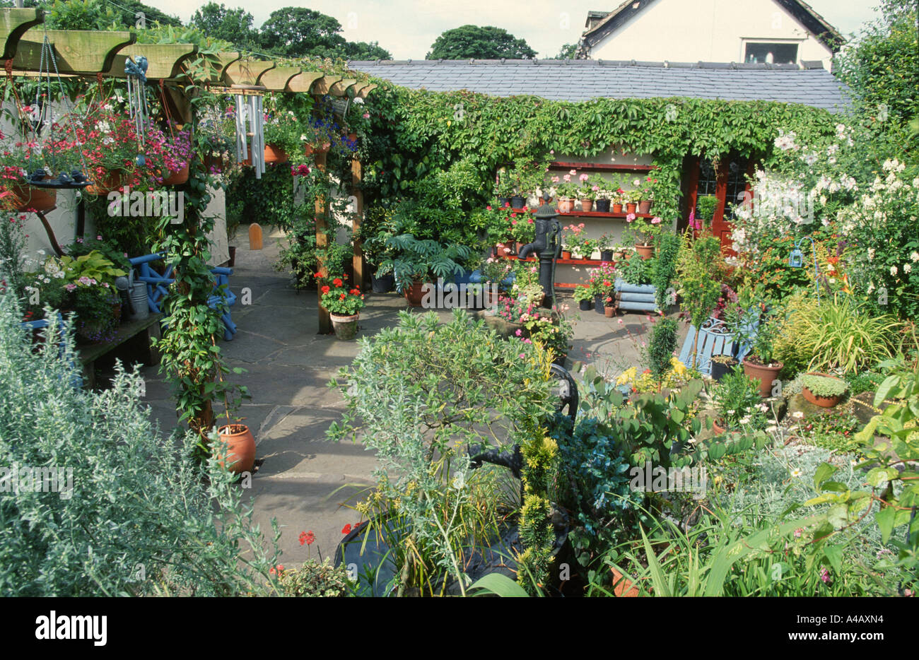 patio garden with lots of pots containers and hanging baskets Stock ...