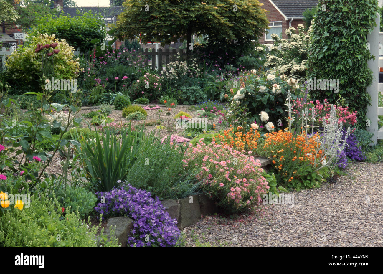 well planted gravel garden Stock Photo - Alamy