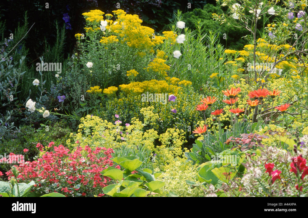 Dense planting hi-res stock photography and images - Alamy