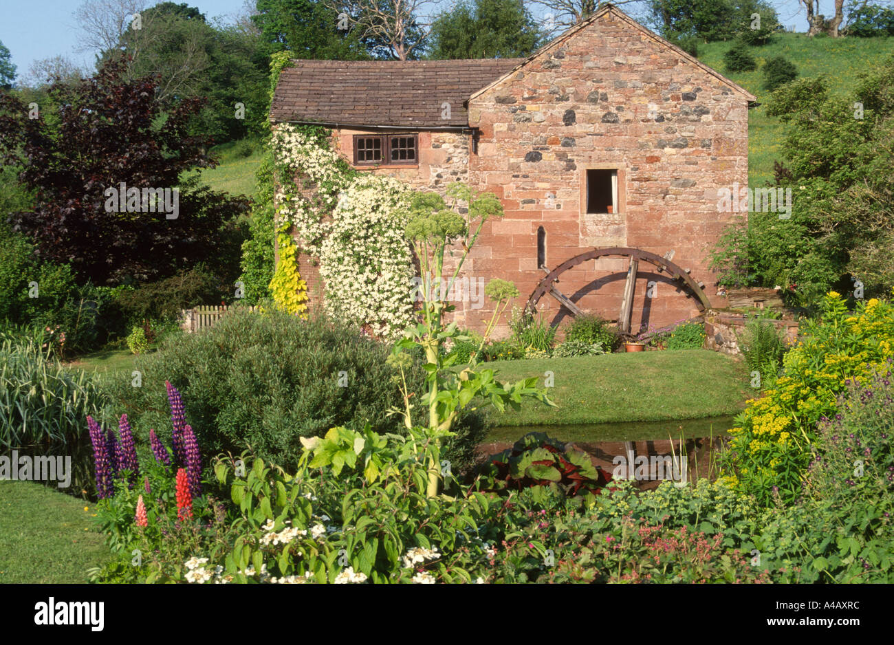 old water mill converted into a house with well planted garden Stock ...