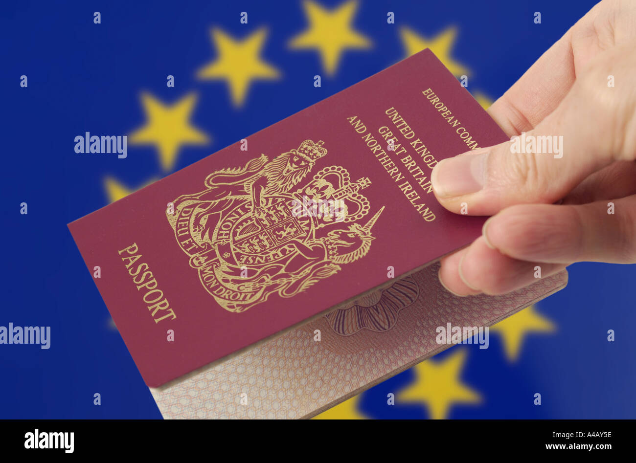 British Subject Passport High Resolution Stock Photography and Images ...