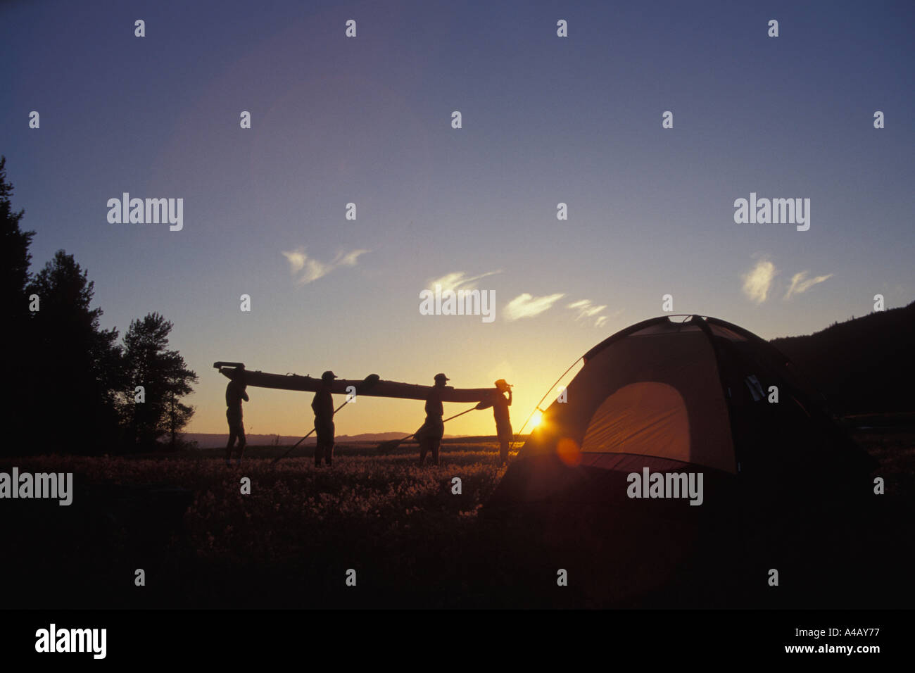 Boy scouts and tent hi-res stock photography and images - Alamy