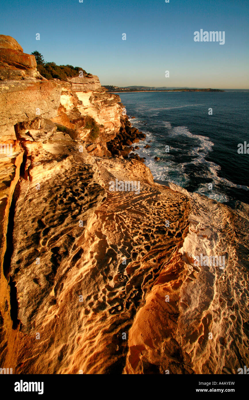 The natural beauty of eroded Sydney sandstone geology at Curl Curl ...