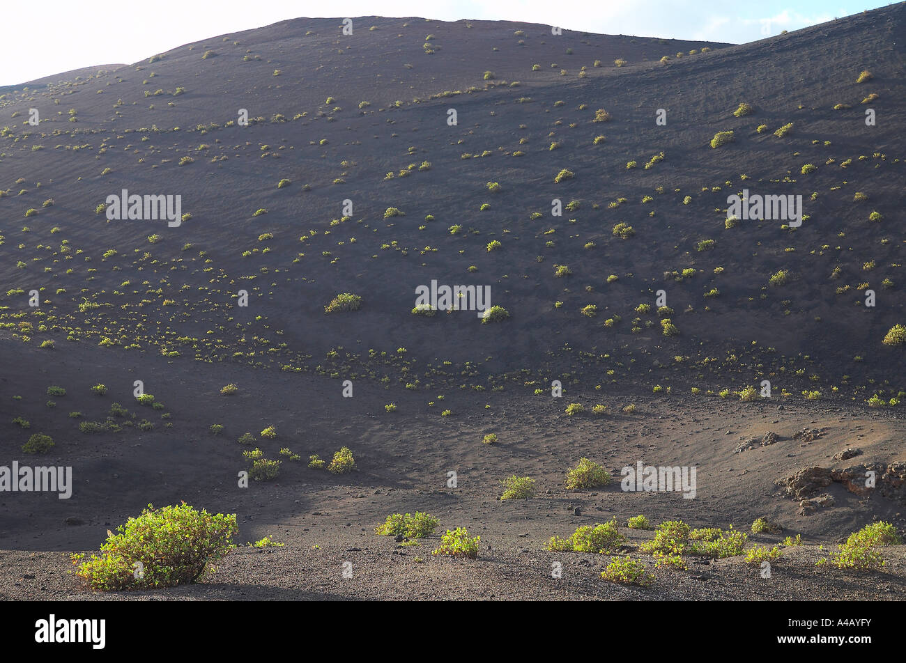 volcanic land formations in Lanzarote, the Canary Islands Stock Photo ...