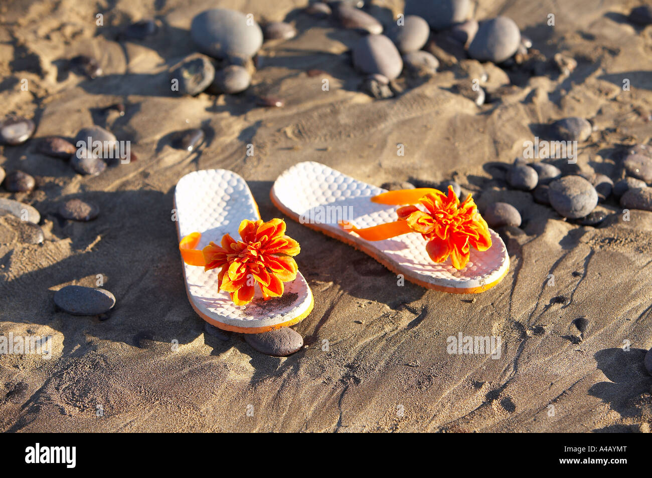 ladies flip flops on a beach Stock Photo - Alamy