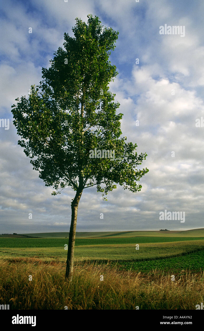 Somme landscape hi-res stock photography and images - Alamy