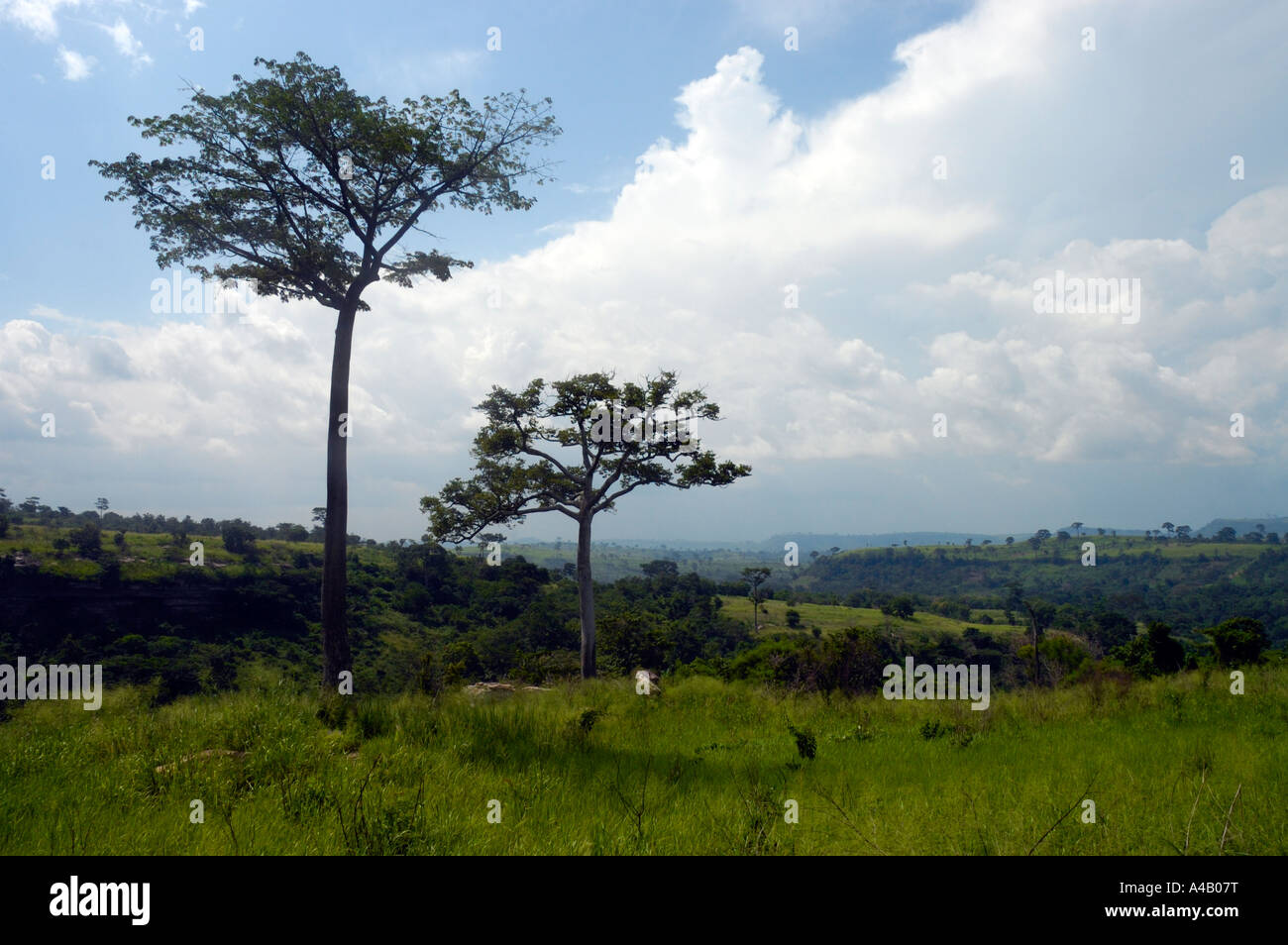 West African countryside near Korforidua, north of Accra, Ghana, Africa ...