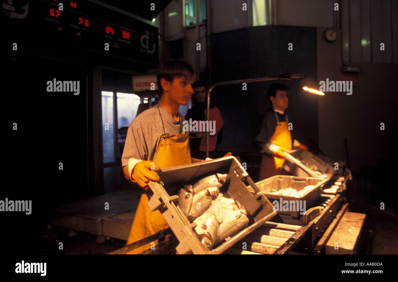 Auction in progress at the Crie Sete France Stock Photo - Alamy