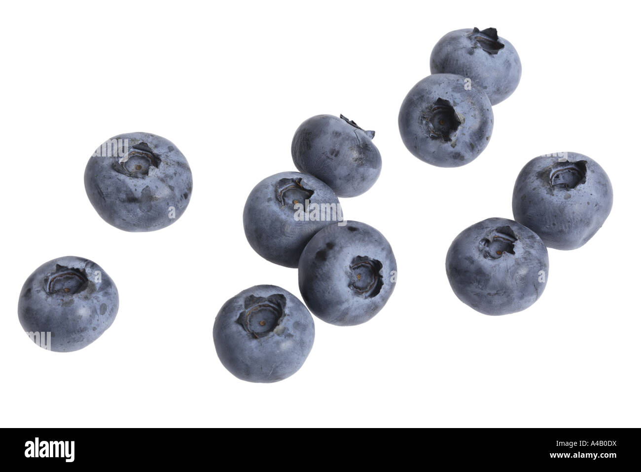 Blueberries cut out on white background Stock Photo - Alamy