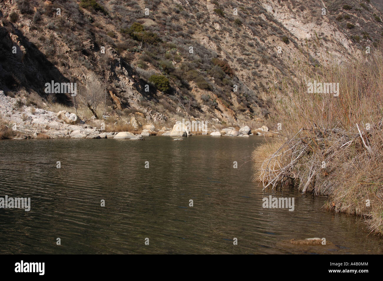 Santa Ynez River Stock Photo - Alamy