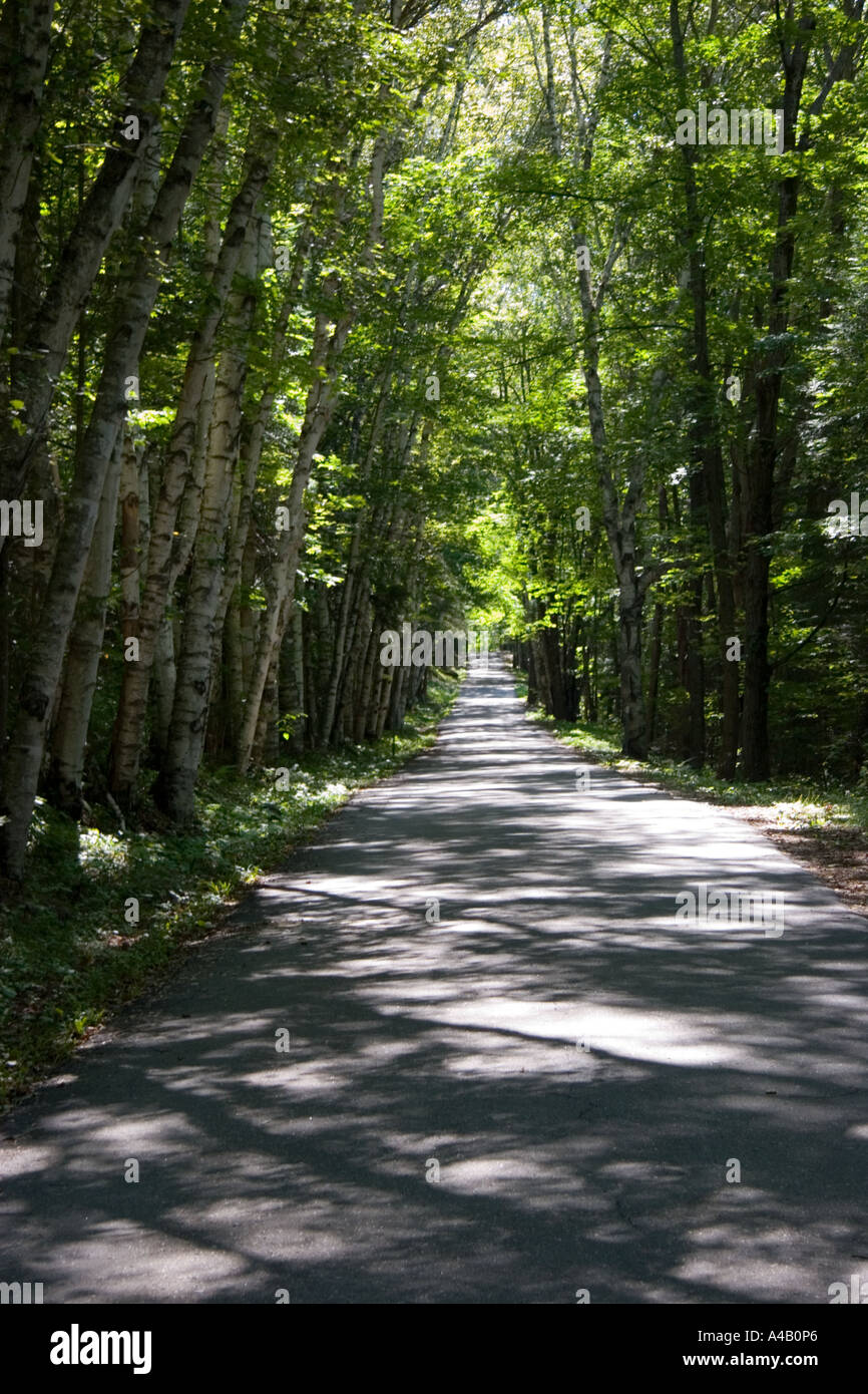 Road at Weeks State Park Mt Prospect Stock Photo - Alamy