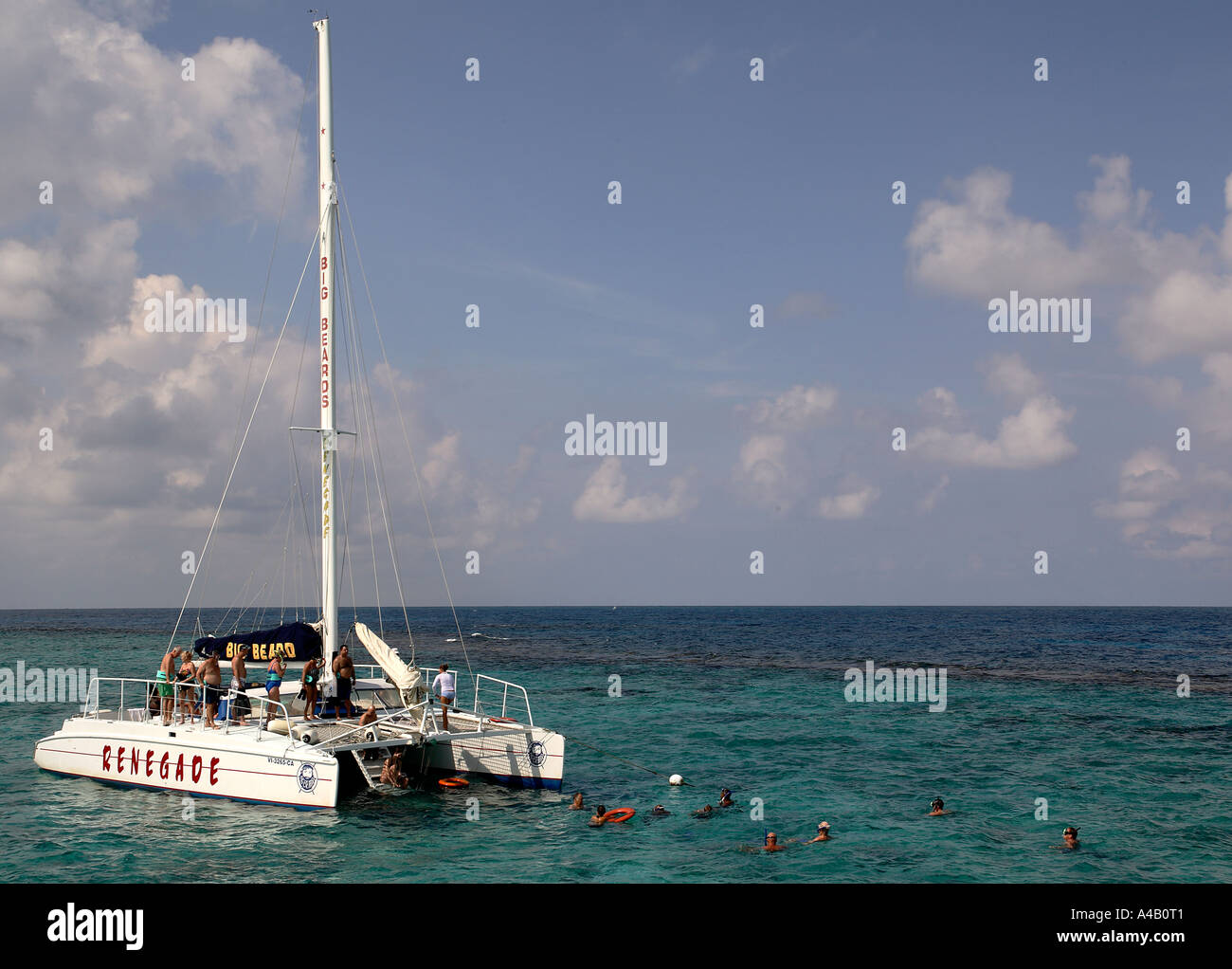St.Croix. Buck island reef. Snorkelling Stock Photo - Alamy