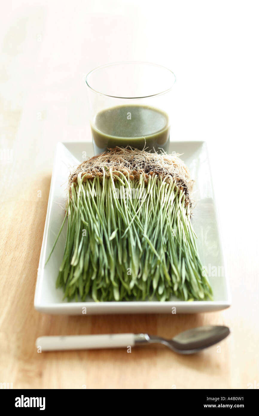 Wheatgrass juice hi-res stock photography and images - Alamy