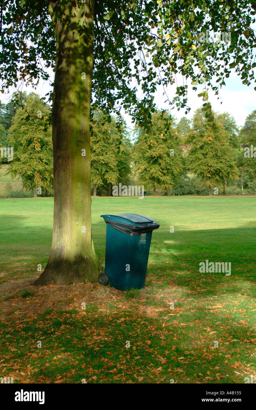 Tree by wheelie bin hi-res stock photography and images - Alamy