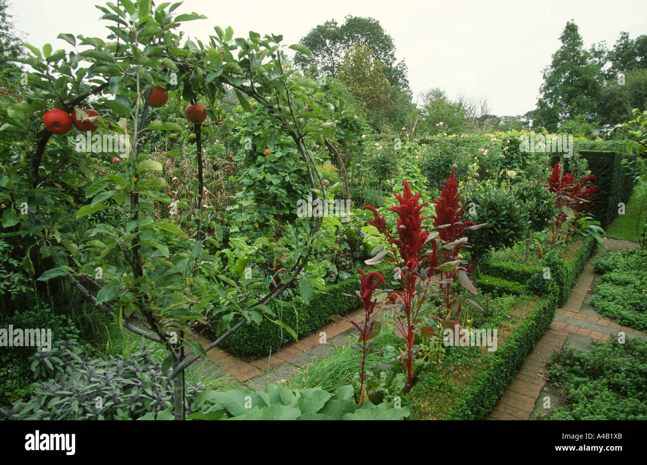 Large garden hedges hi-res stock photography and images - Alamy
