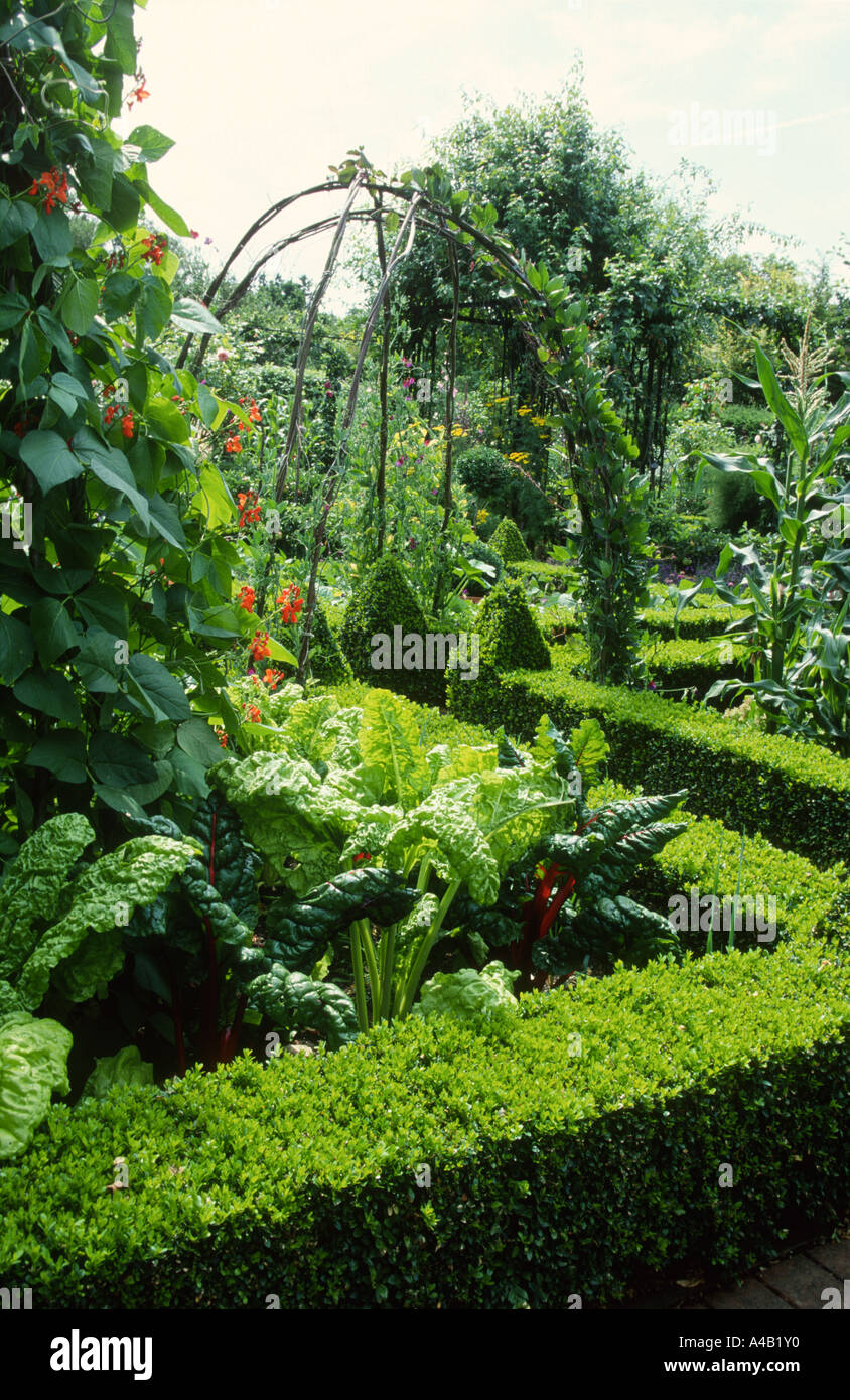 vegetable garden with clipped box hedges Stock Photo - Alamy