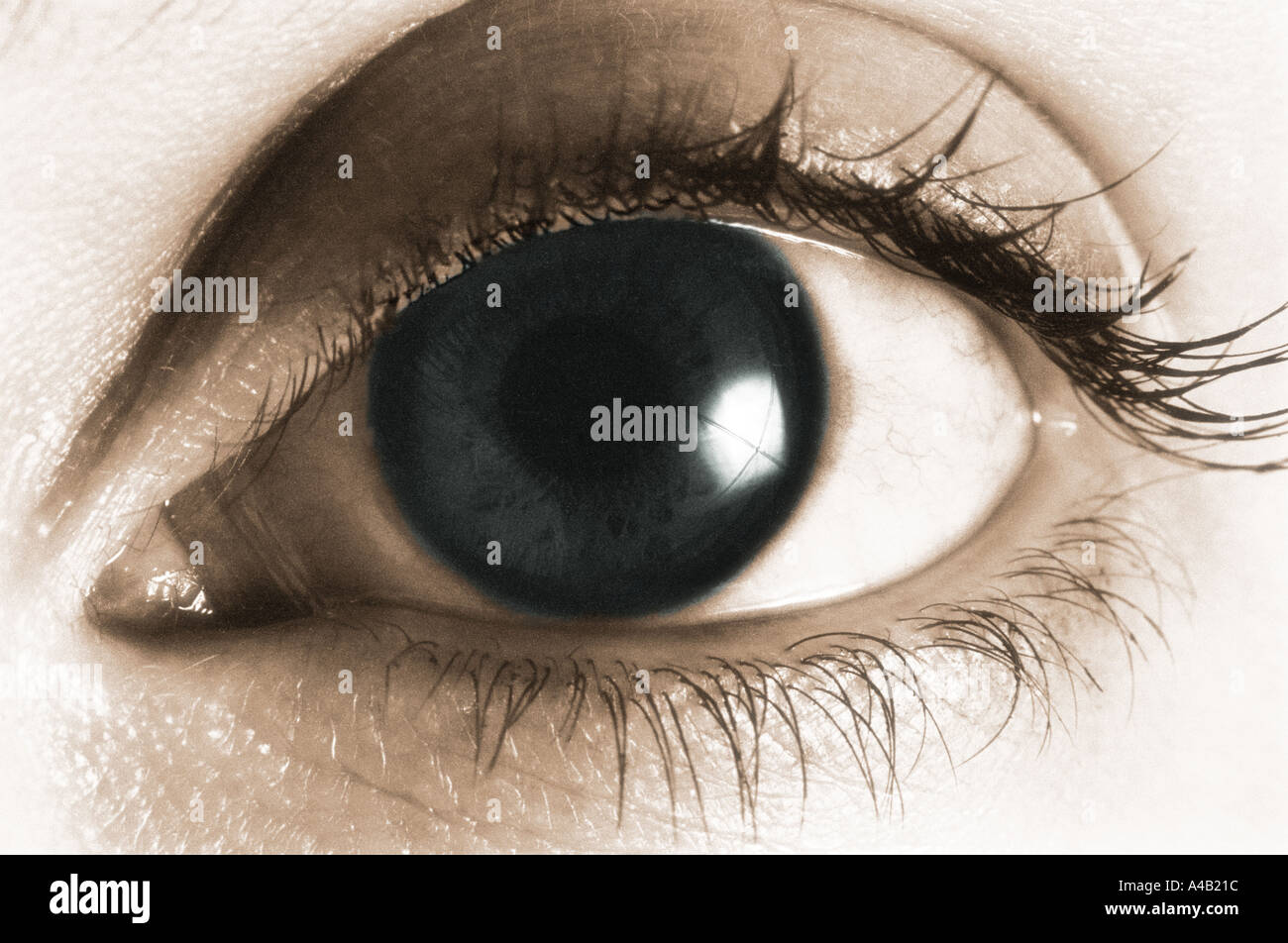 Human eye close up wide pupil hi-res stock photography and images - Alamy