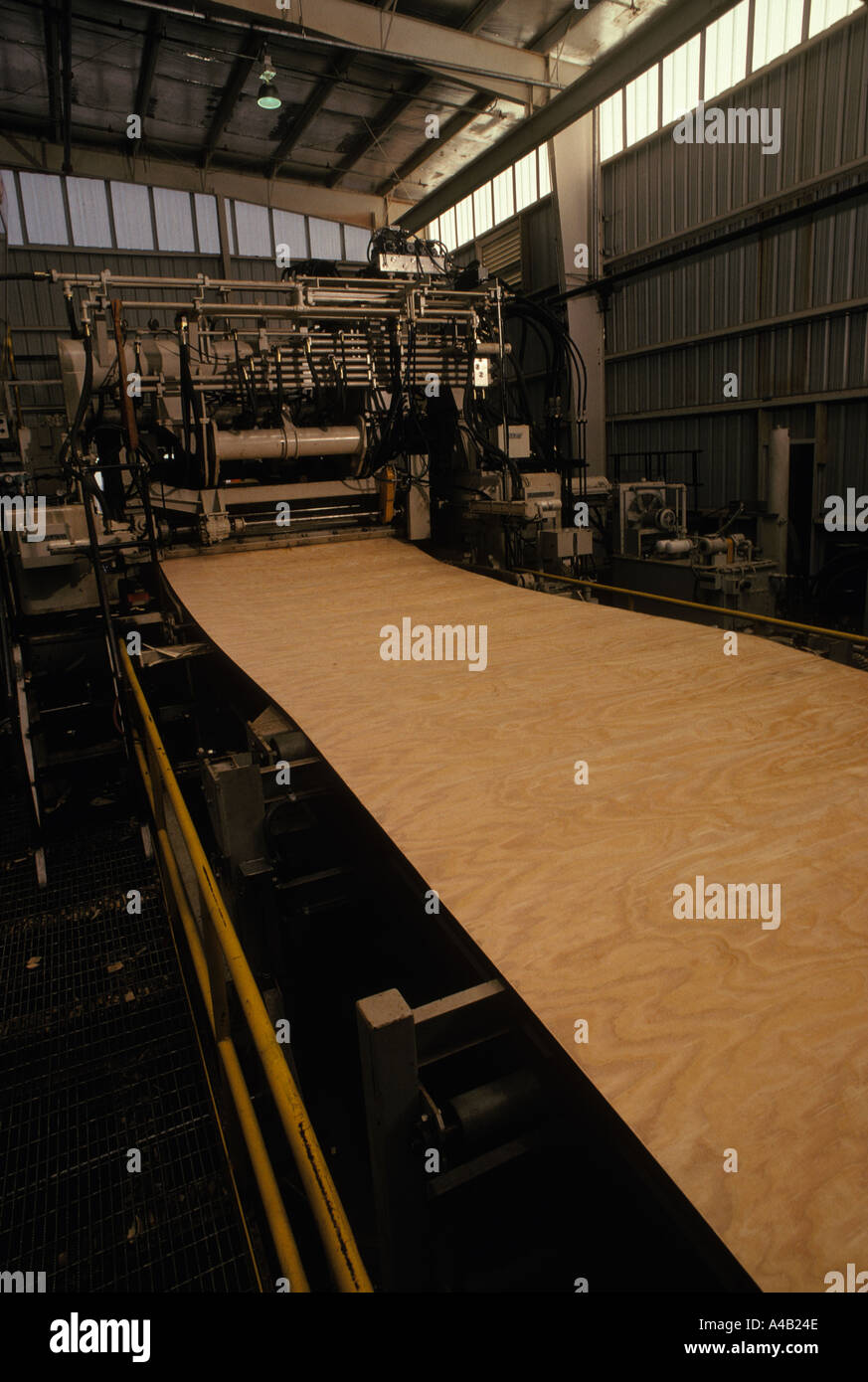 Plywood production hi-res stock photography and images - Alamy