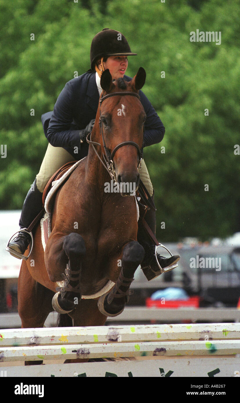 Rider show hi-res stock photography and images - Alamy