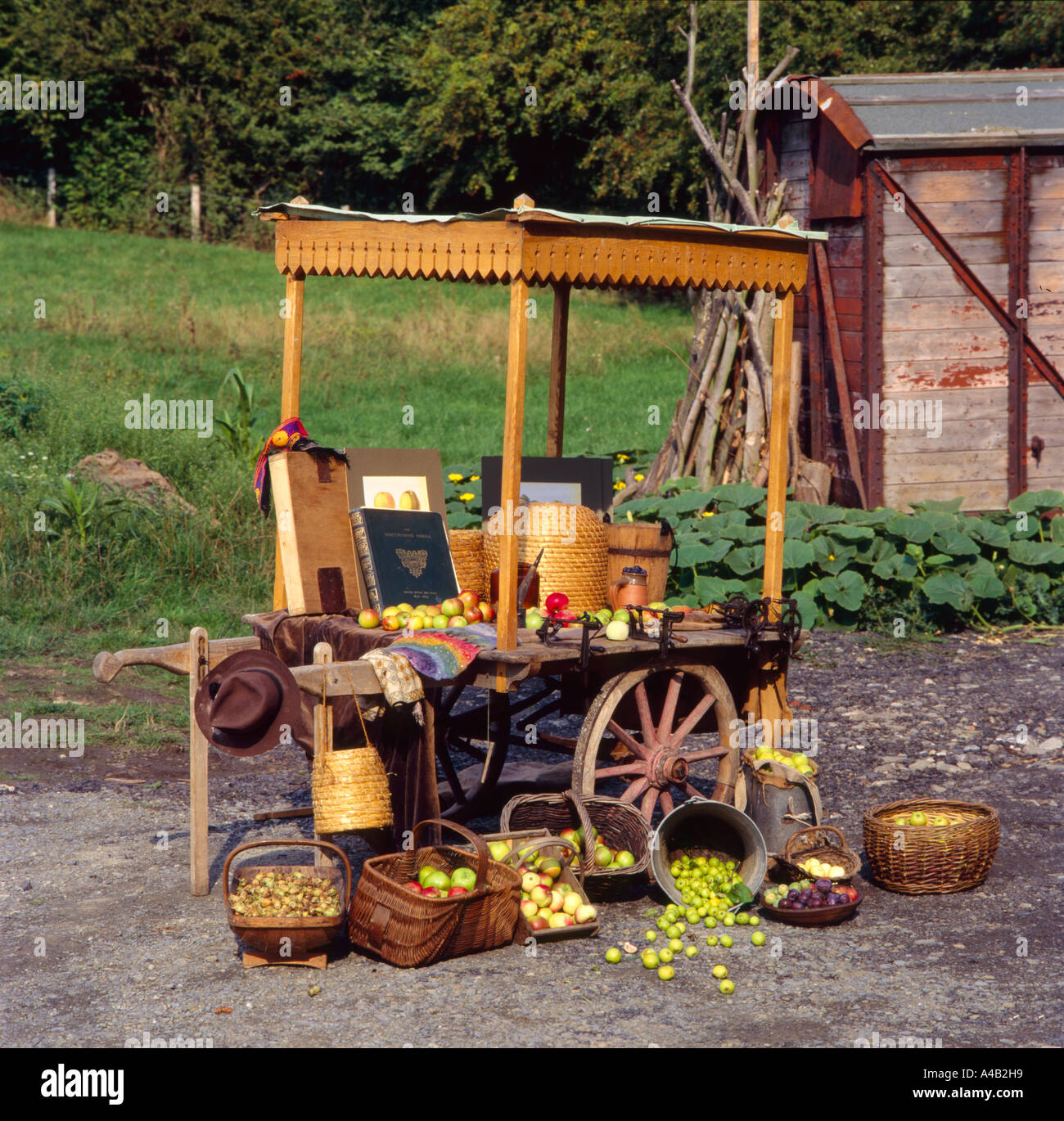 apple cart set up for an agricultural exhibition Stock Photo - Alamy