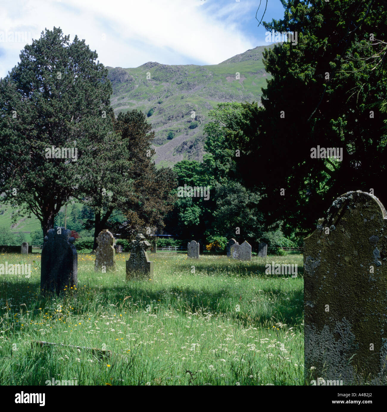 country cemetery with lots of space for nature Stock Photo - Alamy