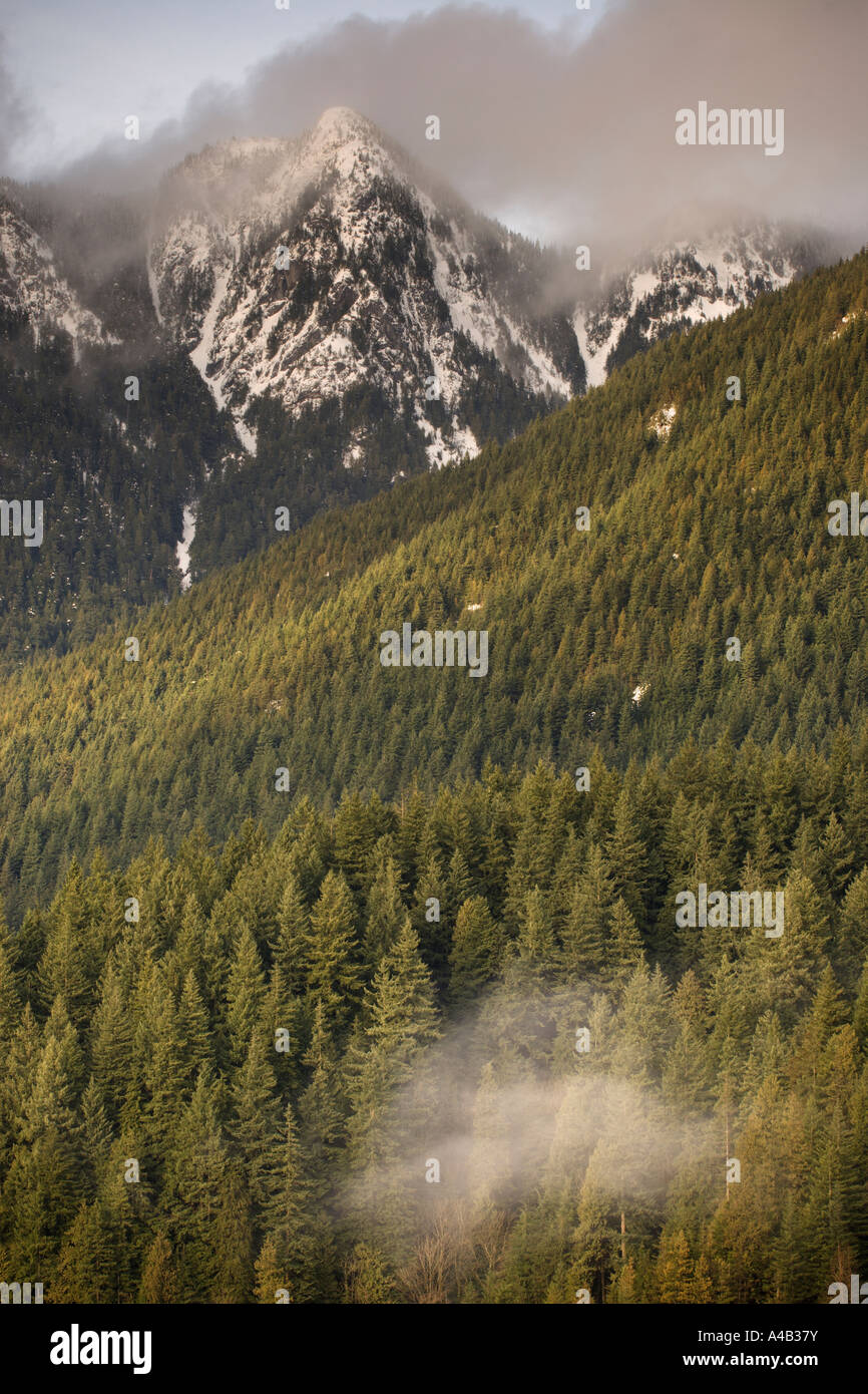mountain view from capilano reservoir Stock Photo - Alamy