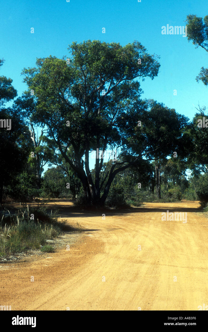Unsealed road in the Western Australia outback Stock Photo - Alamy