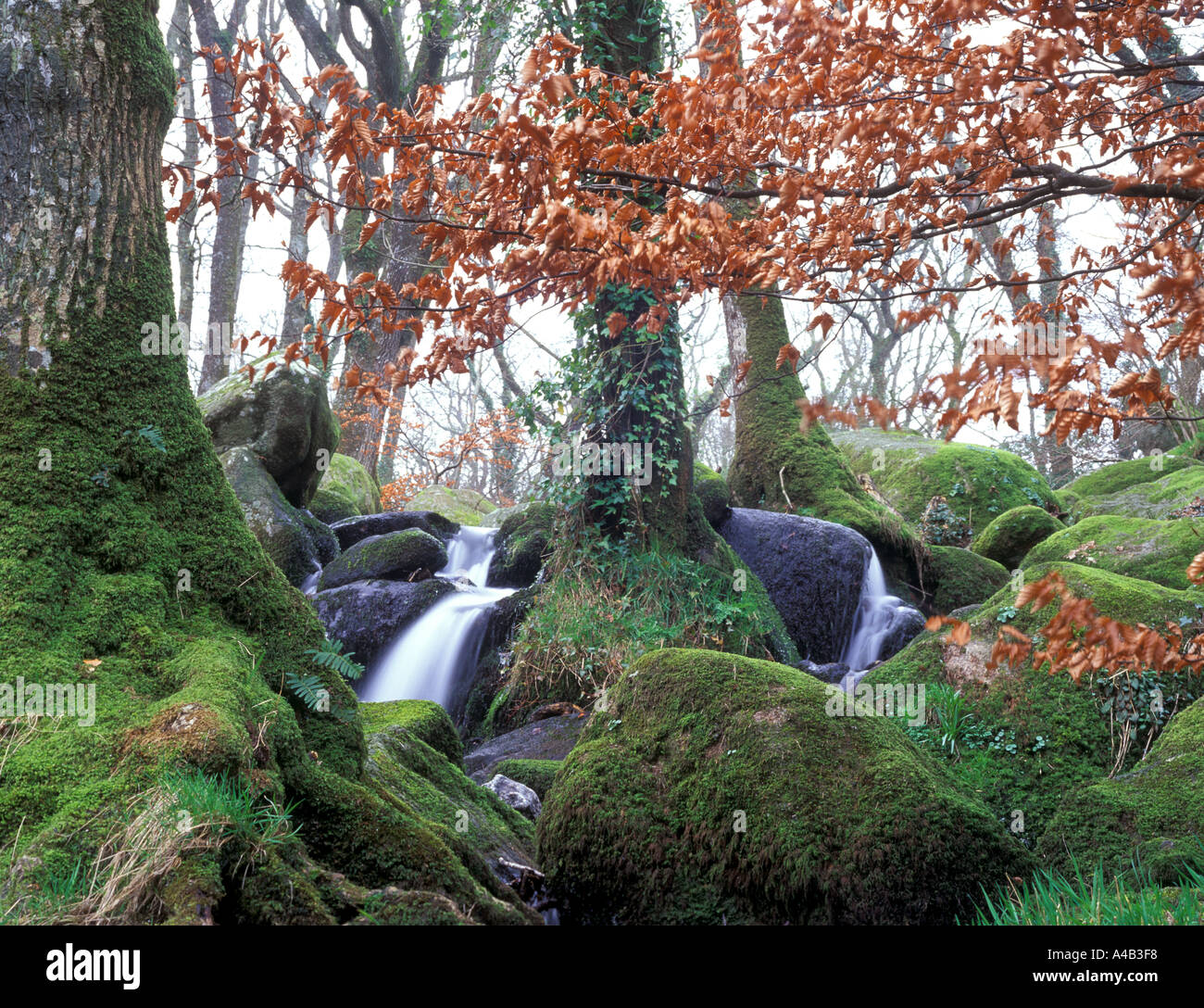 Becky falls dartmoor hi-res stock photography and images - Alamy