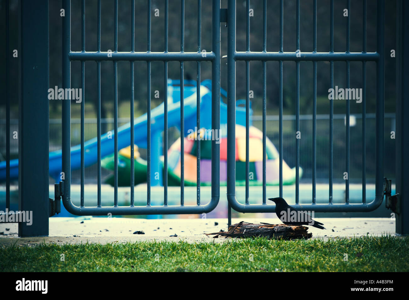 Stanley park second beach hi-res stock photography and images - Alamy