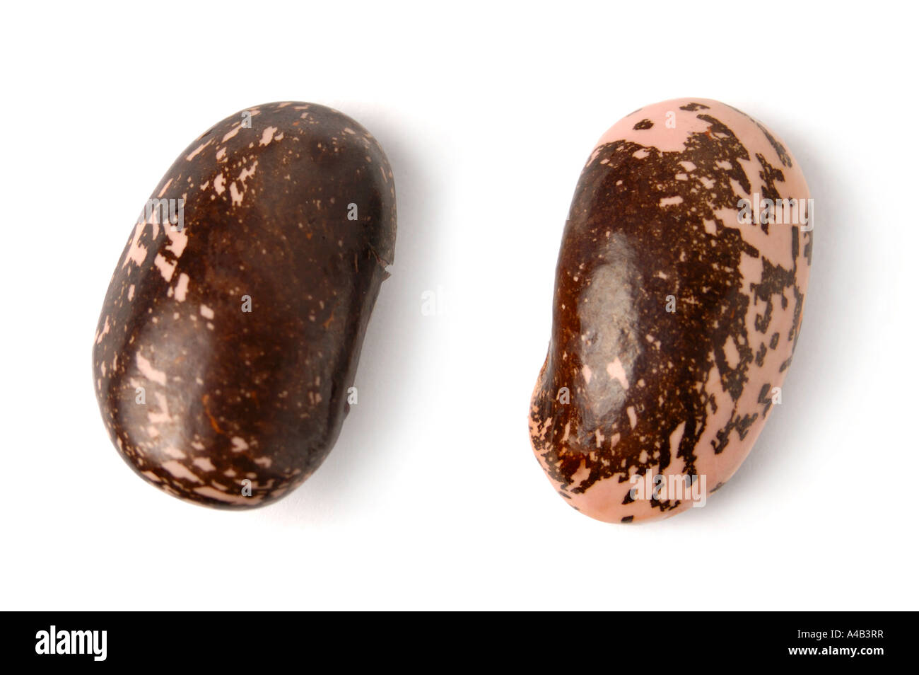 Mottled beans hi-res stock photography and images - Alamy