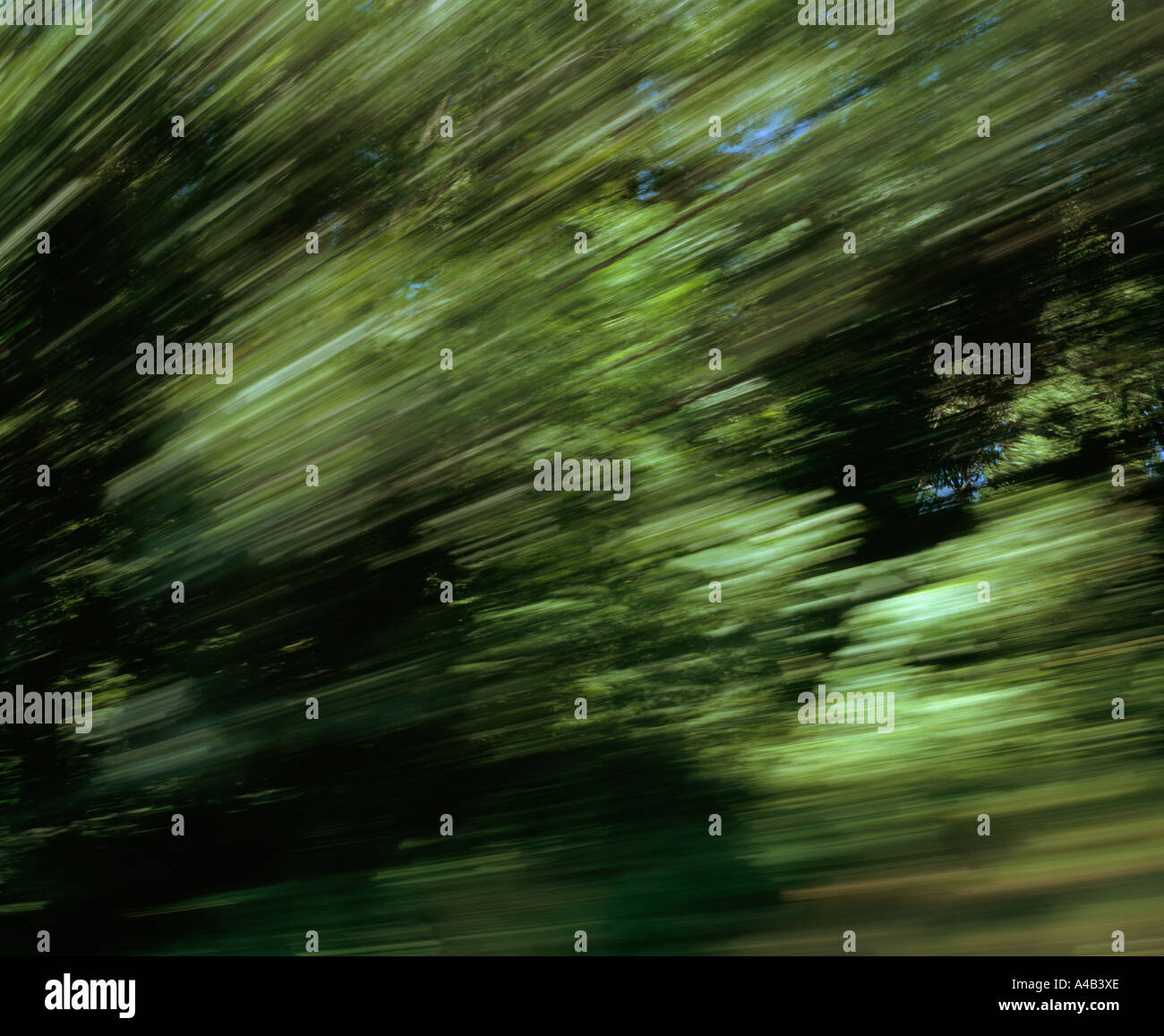 Speeding past trees Stock Photo - Alamy