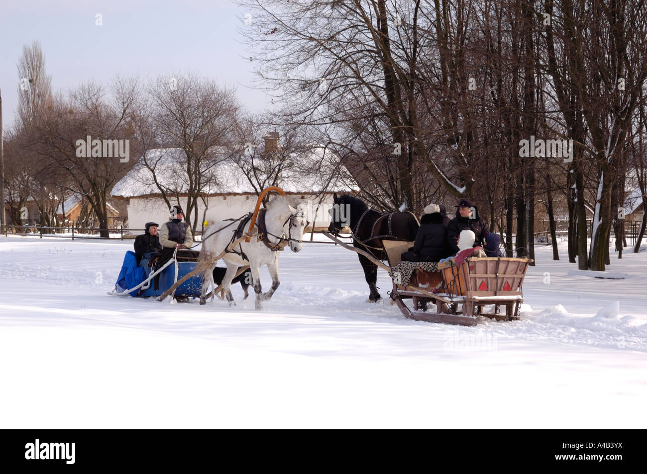 Sledges transportation hi-res stock photography and images - Alamy