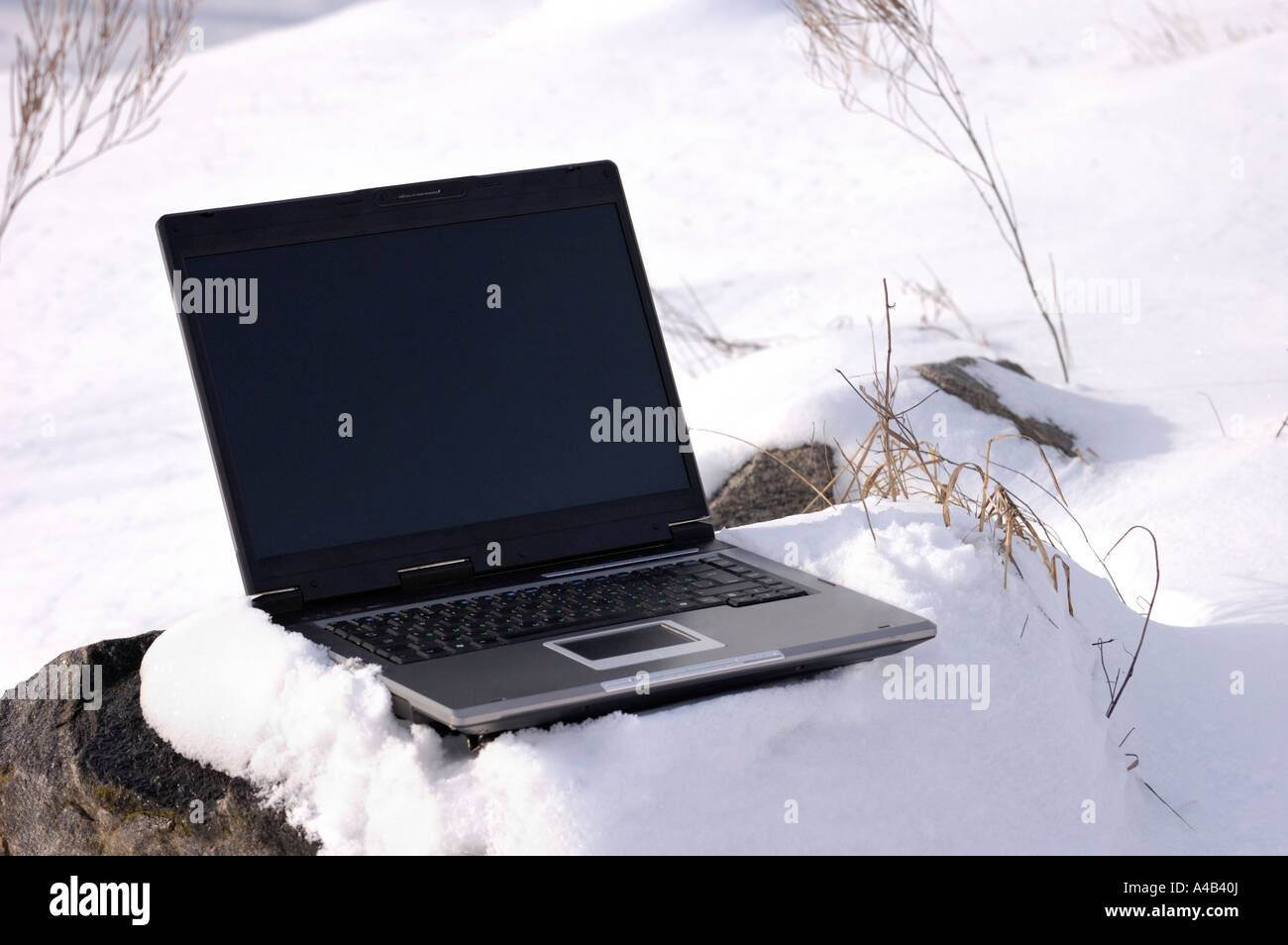 Laptop on snow Stock Photo - Alamy